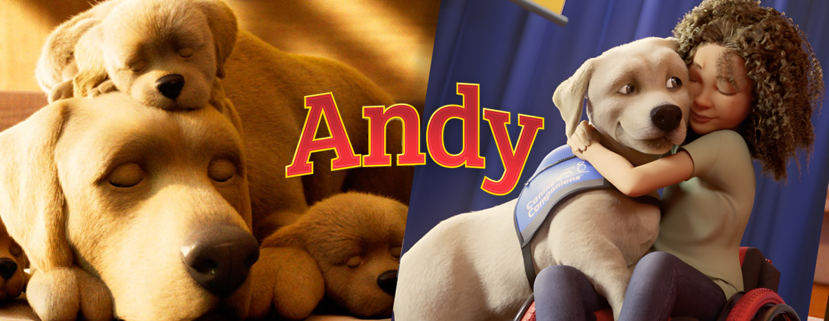 Andy Book